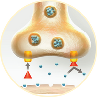 How Deplin® Helps Antidepressants