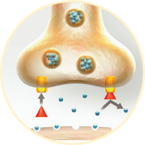 How Deplin® Helps Antidepressants