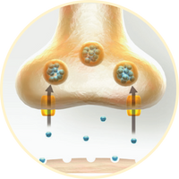 How Deplin® Helps Antidepressants