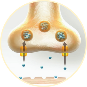 How Deplin® Helps Antidepressants